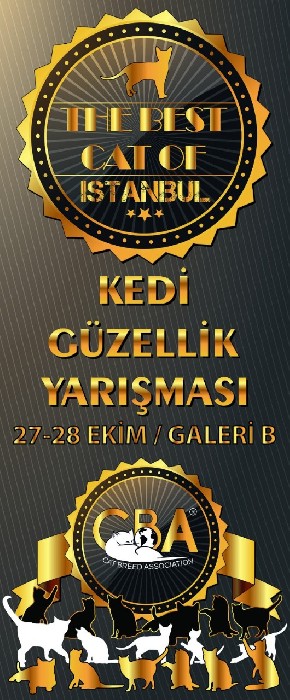 Uluslararası Kedi Gösterisi 27-28.10.2018 :: CBA